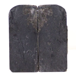 Ancient Fossil Orthoceras Bookends - Ammonite Round Shaped For Sale ...